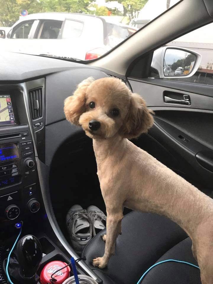 EastTigerK (DongHo Kang) · GitHub