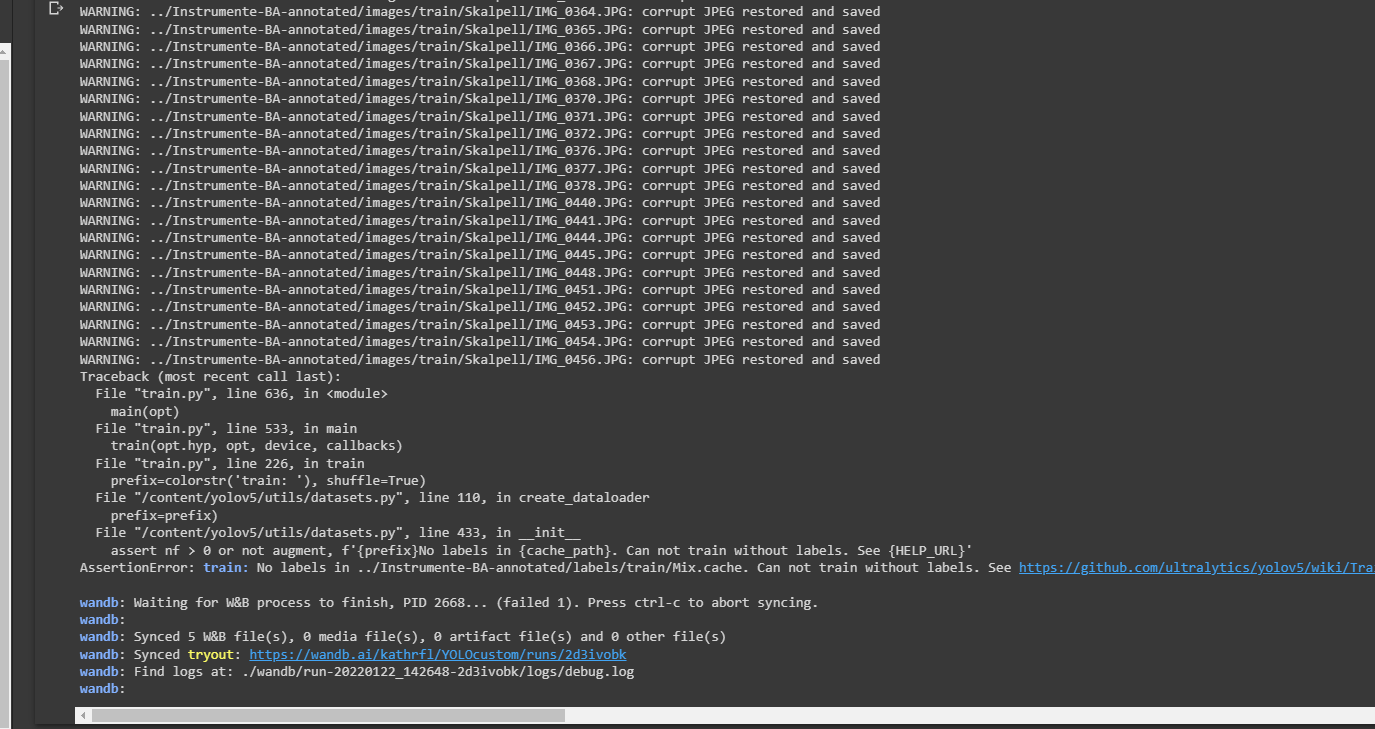 Corrupted labels after using different cameras? · Issue #6383 · ultralytics/yolov5 · GitHub