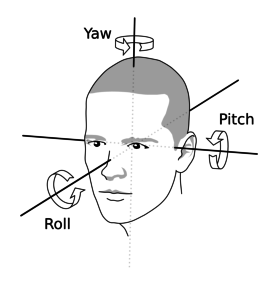 GitHub - ZyadSamy96/Head-Pose-Estimation: In this project, I trained ...