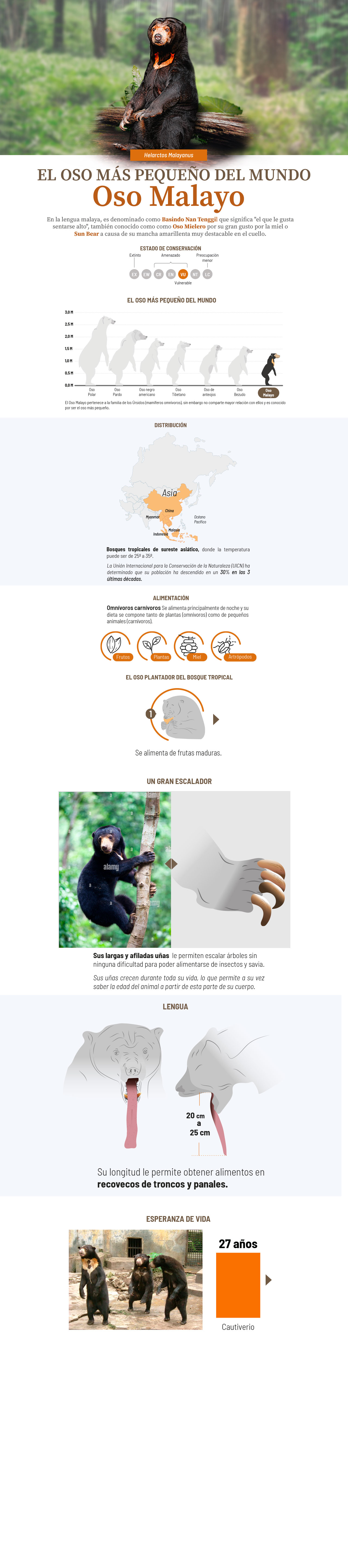 GitHub - oso-malayo/Prueba-screenshot