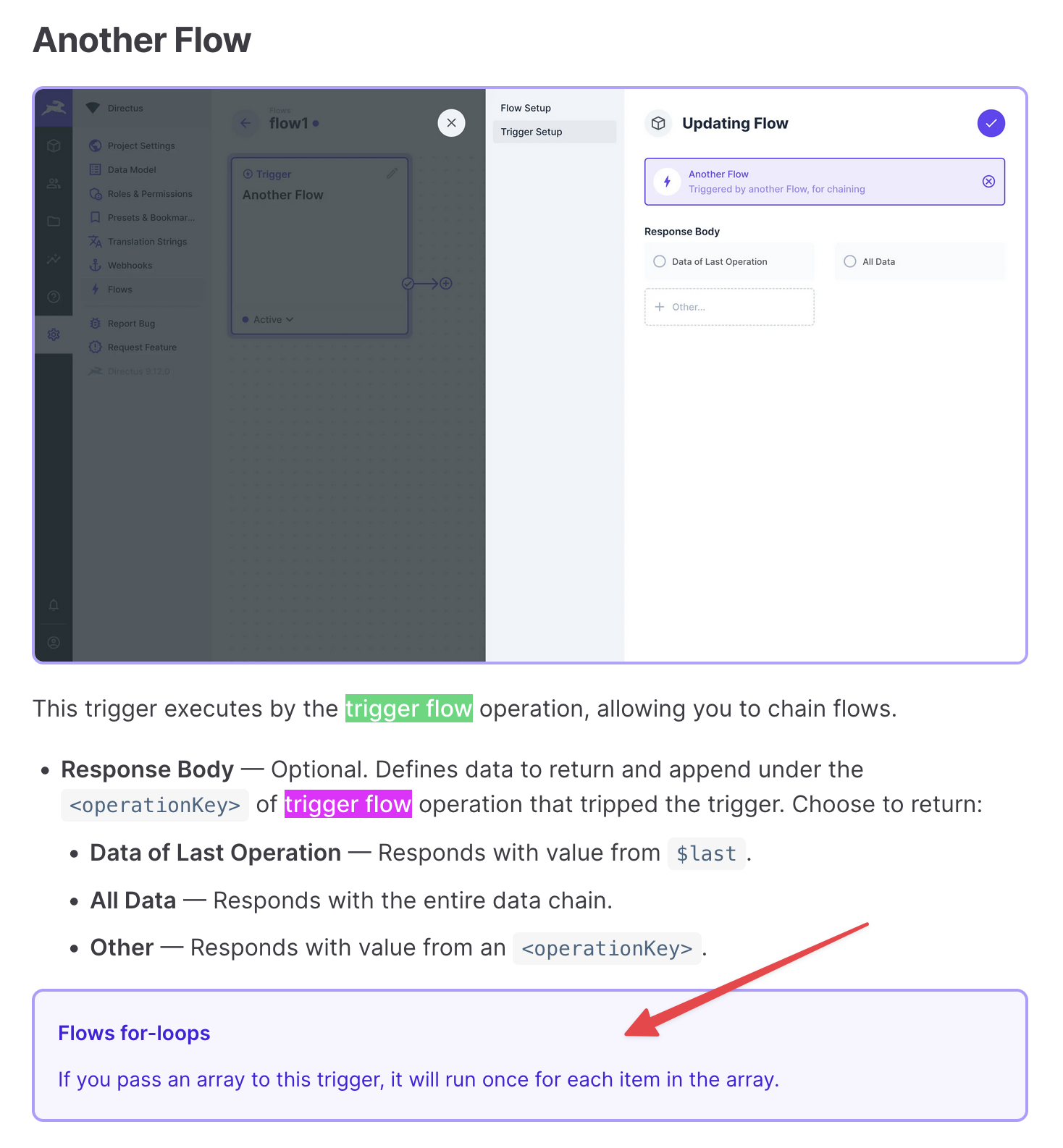 Flow display bug for raw editor · Issue #18315 · directus/directus · GitHub