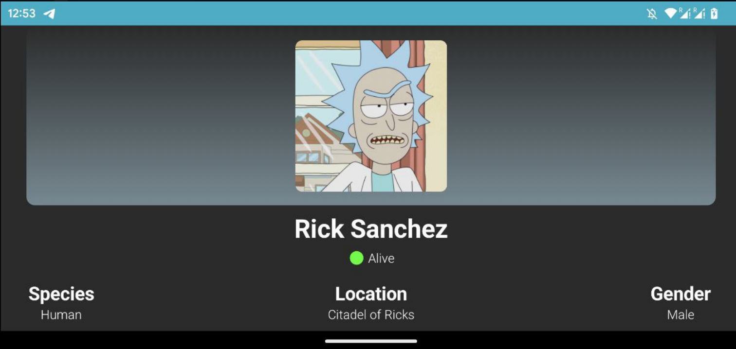 GitHub - EvgenyPlaksin/RickAndMortyApp