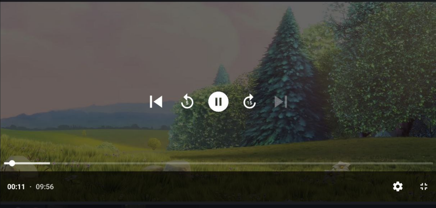 GitHub - EvgenyPlaksin/VideoPlayerProject