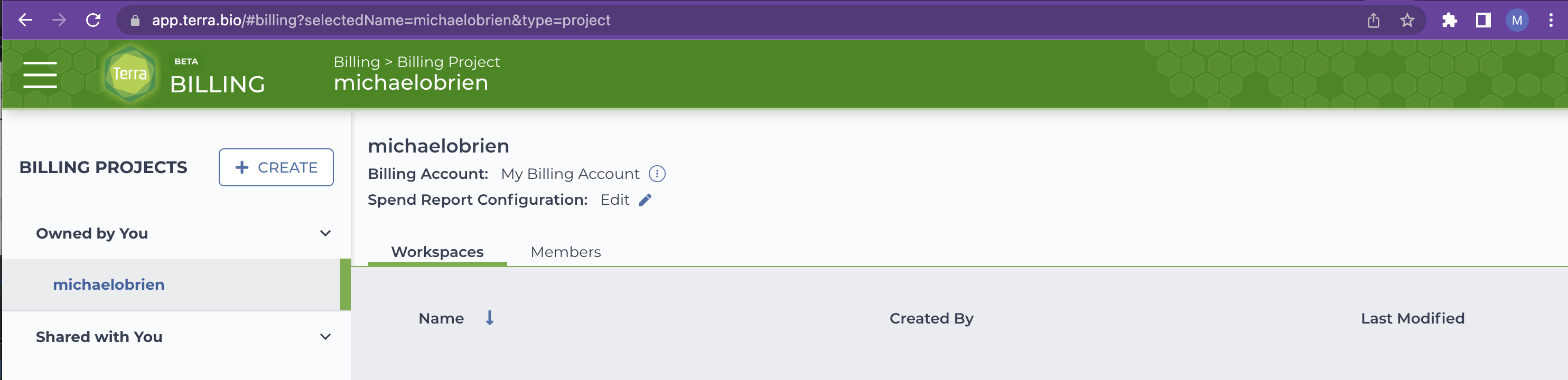 PBMM deployment support for terra.bio GCP proxy projects organization ...