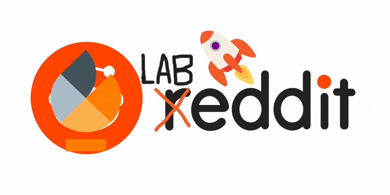 GitHub - rafasalmeron/Project-Labeddit