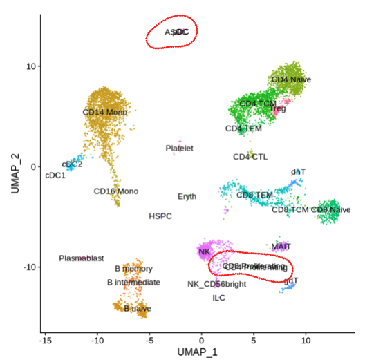 Overlapping labels in `DimPlot` · Issue #3638 · satijalab/seurat · GitHub