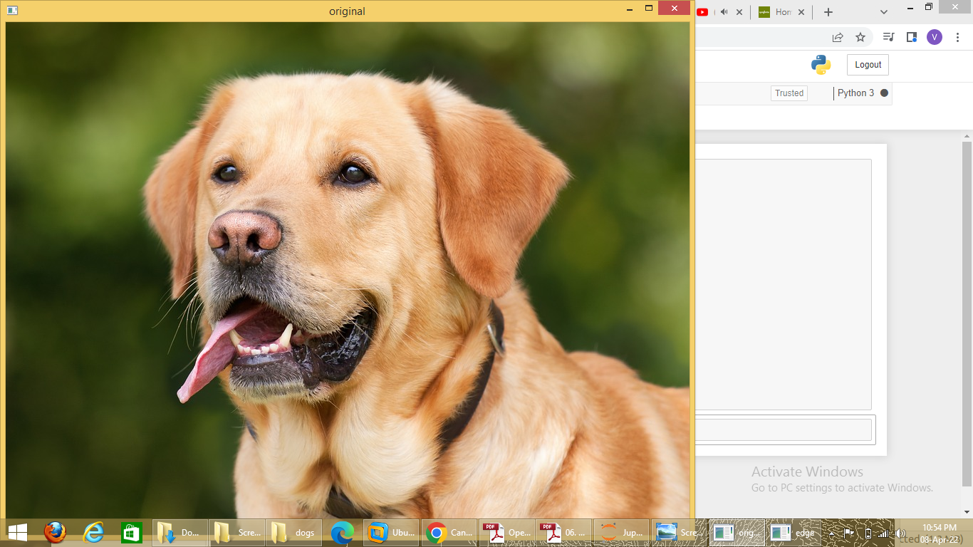 GitHub - Vishalaxi-Kaba/Canny-function-in-OpenCV