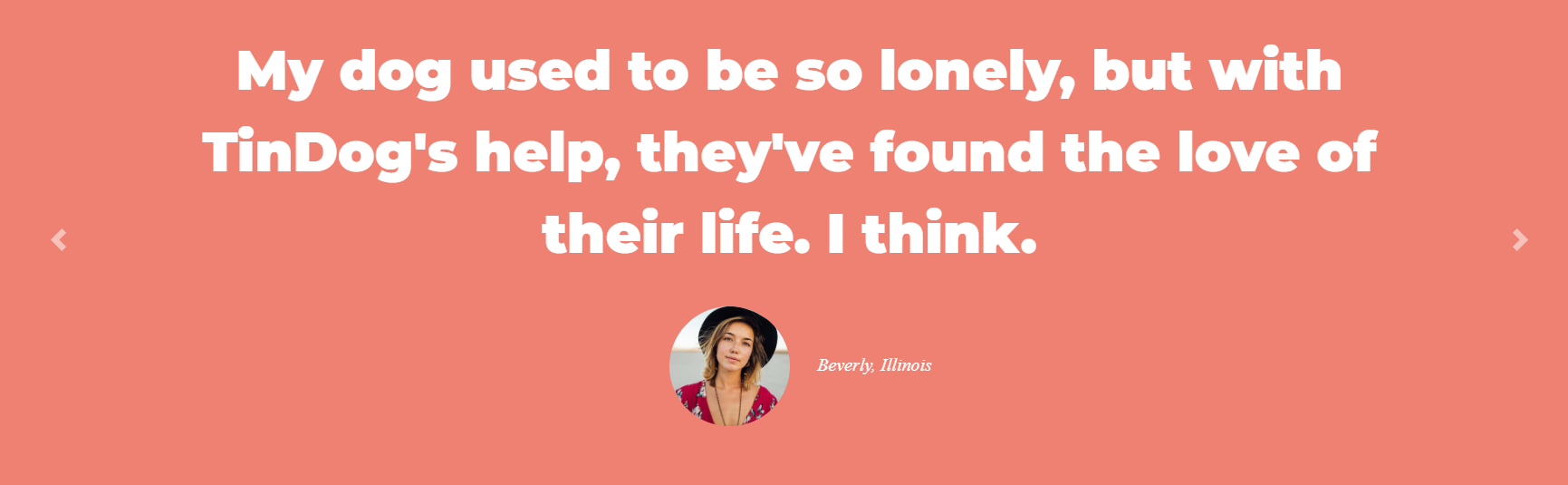 GitHub - Hashuudev/TinDog-Page: A tinder website for Dogs developed using HTML, CSS and ...