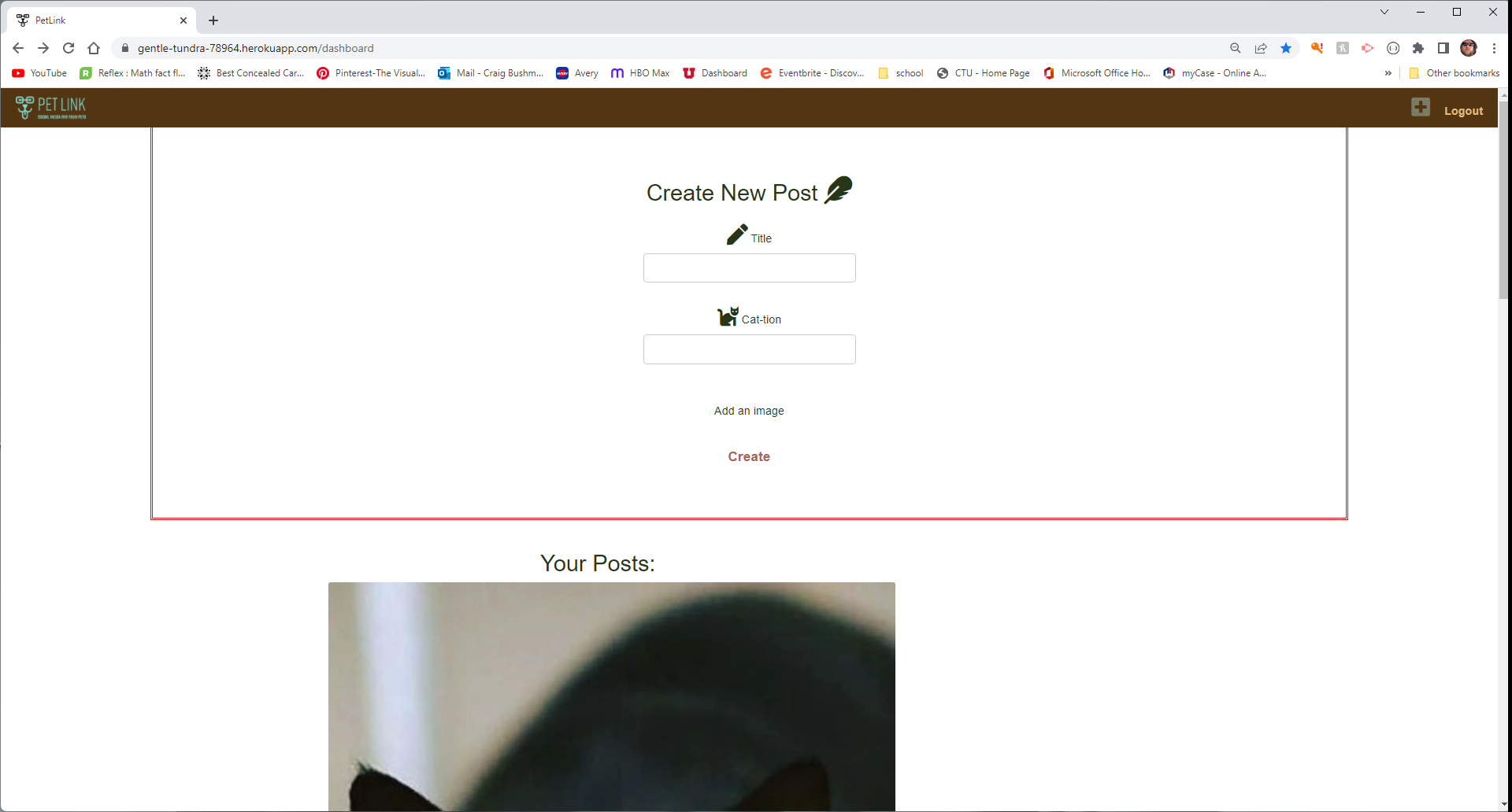 GitHub - cbushman9/petlink