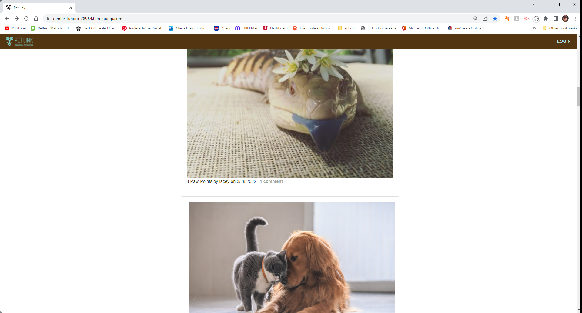 GitHub - cbushman9/petlink