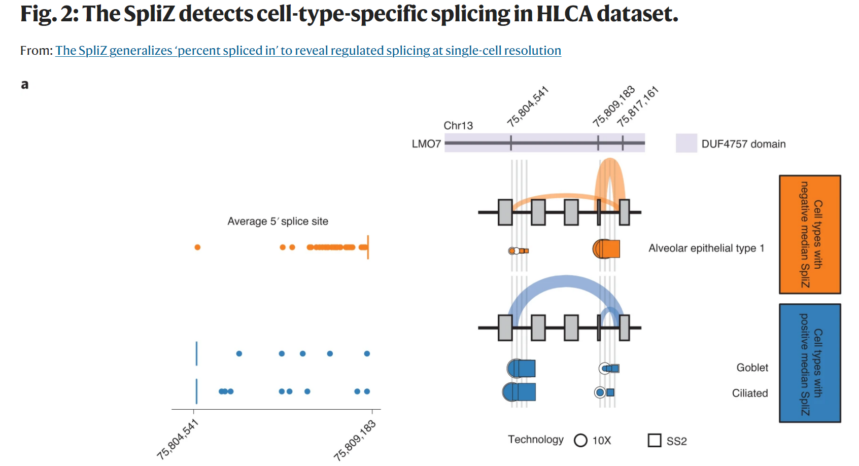 environment.yml · Issue #8 · salzman-lab/SpliZ · GitHub