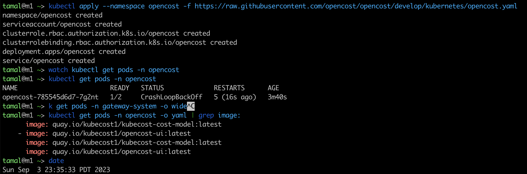Opencost quick setup does not work · Issue #2144 · opencost/opencost · GitHub