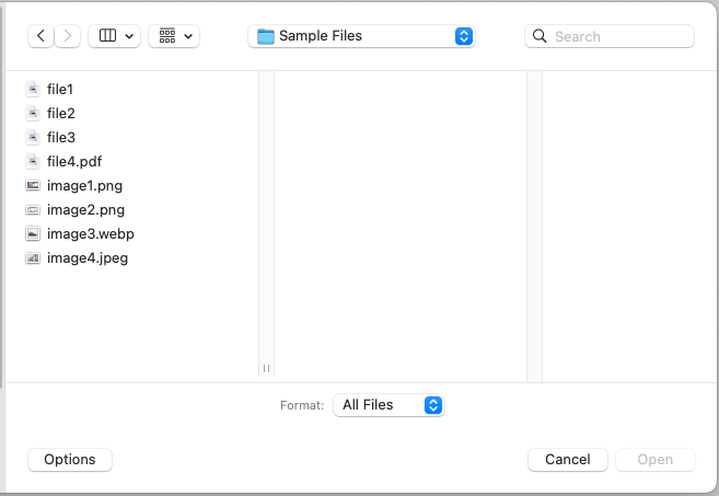 FileUploadInputElement hide All Files option · Issue #125665 · flutter/flutter · GitHub
