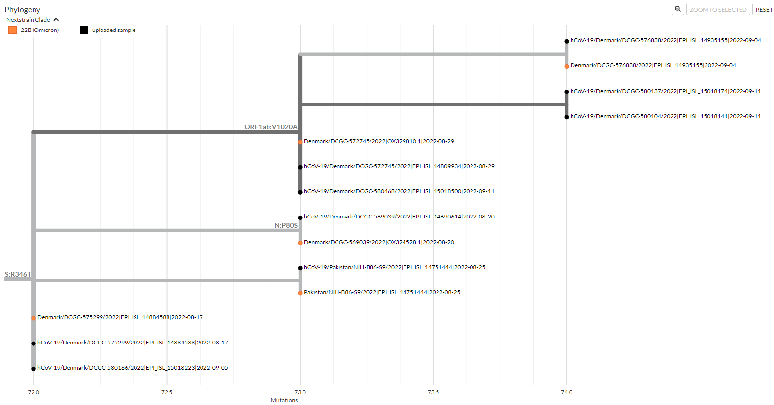 BA.5.2.18 (S:444R) sublineage with S:R346T (15 sequences: Denmark, Pakistan, Usa, Canada ...