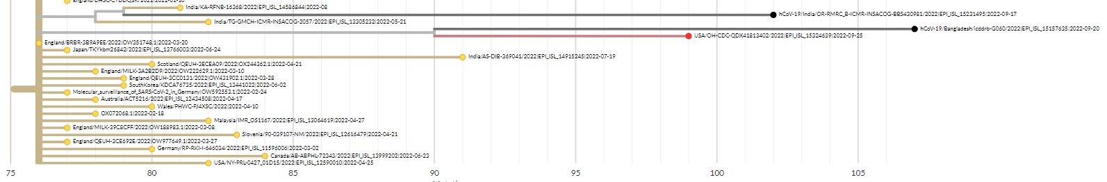 Potential (XBB or BJ.1) and CJ.1 recombinant (2 seqs, Bangladesh/India ...
