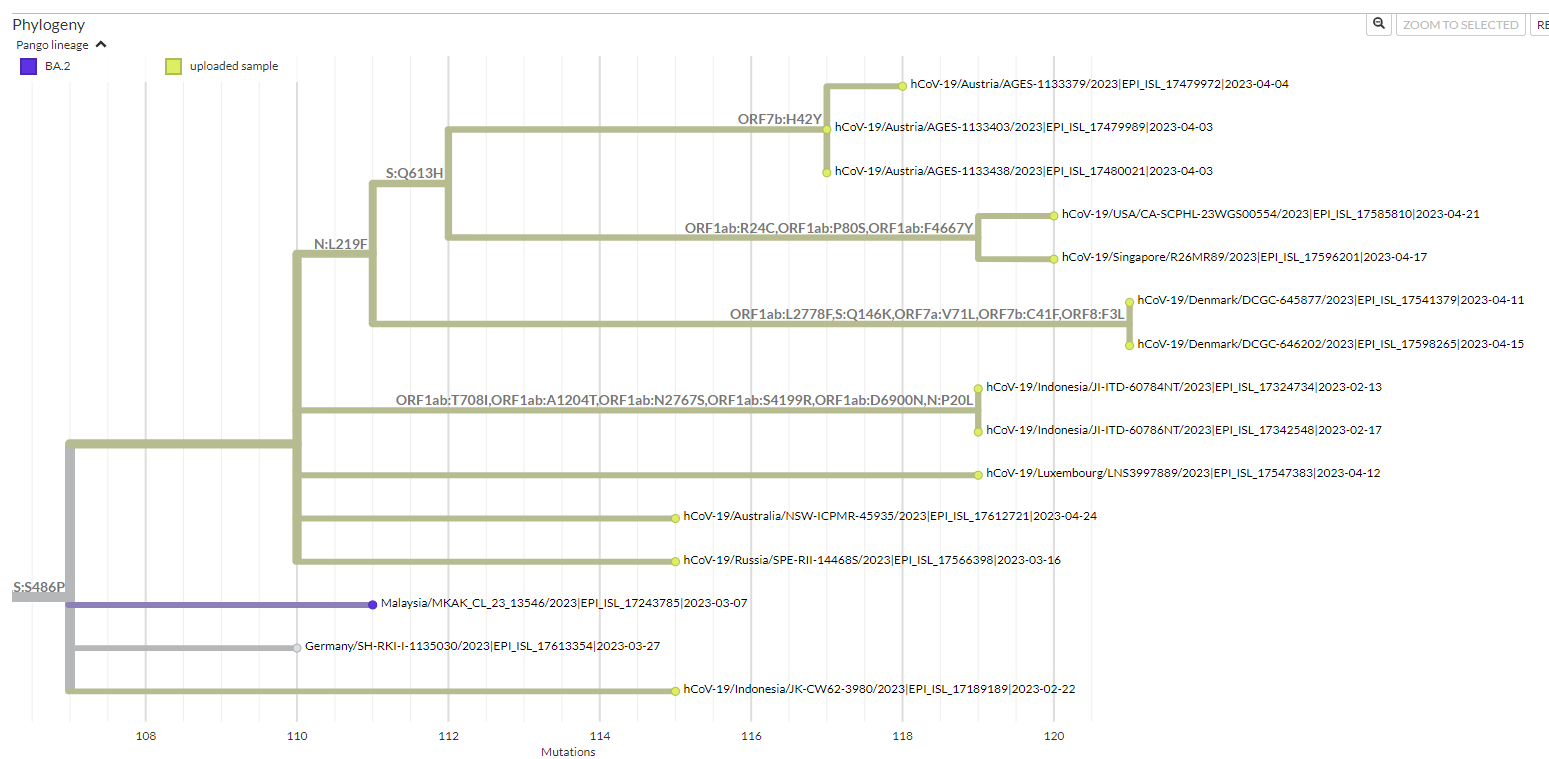 Several potential XBB.1.9.1/XBB.1.9.2 recombinants · Issue #35 · sars-cov-2-variants/lineage ...