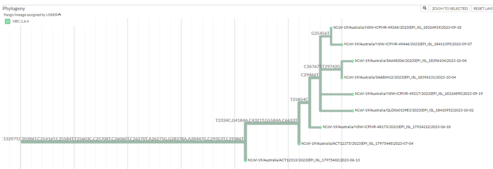 XBB.1.16/XBC.1.6 recombinant 10 samples Australia · Issue #992 · sars-cov-2-variants/lineage ...