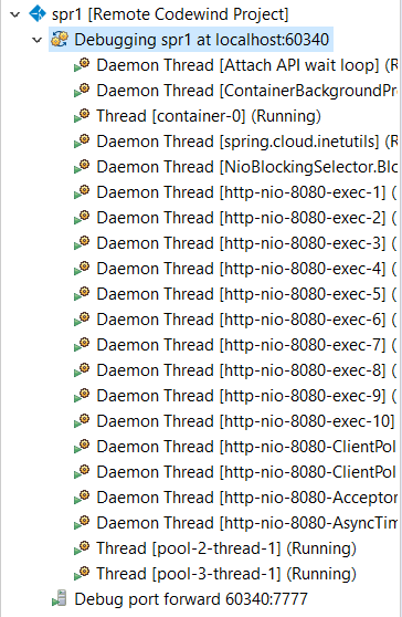 Docs Add Documentation For Remote Debug Support In Codewind · Issue 6088