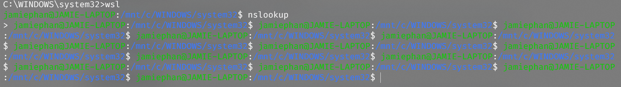 Terminal/CMD became weird after exiting nslookup in WSL · Issue #11708 ...