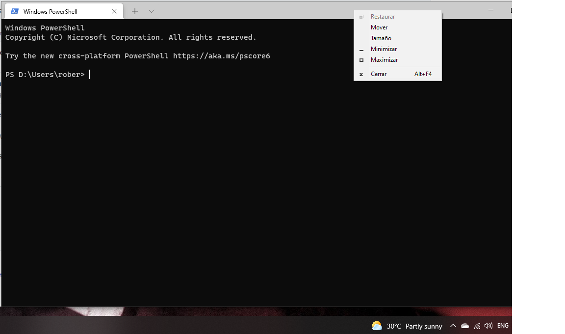 Context Menu Using Incorrect Language · Issue 10788 · Microsoftterminal · Github