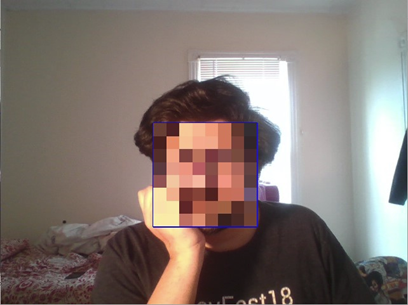 GitHub - ShreyanshGoyal17/Face-anonymizer