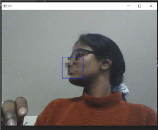 GitHub - ShreyanshGoyal17/Face-anonymizer