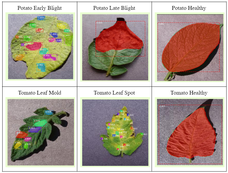 Github Jayant20v Plant Health Detection Detection Of Potato And Tomato Plant Healthiness By