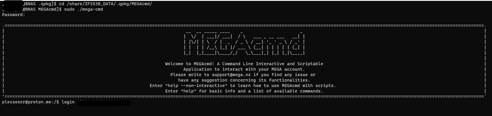 Problem with MegaCMD, nothing happens · Issue #910 · meganz/MEGAcmd · GitHub