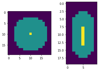 skeletonize 3D with different voxel size · Issue #6512 · scikit-image ...