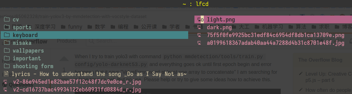 Icons in the preview window followed by an extra character 'o' · Issue #611 · gokcehan/lf · GitHub