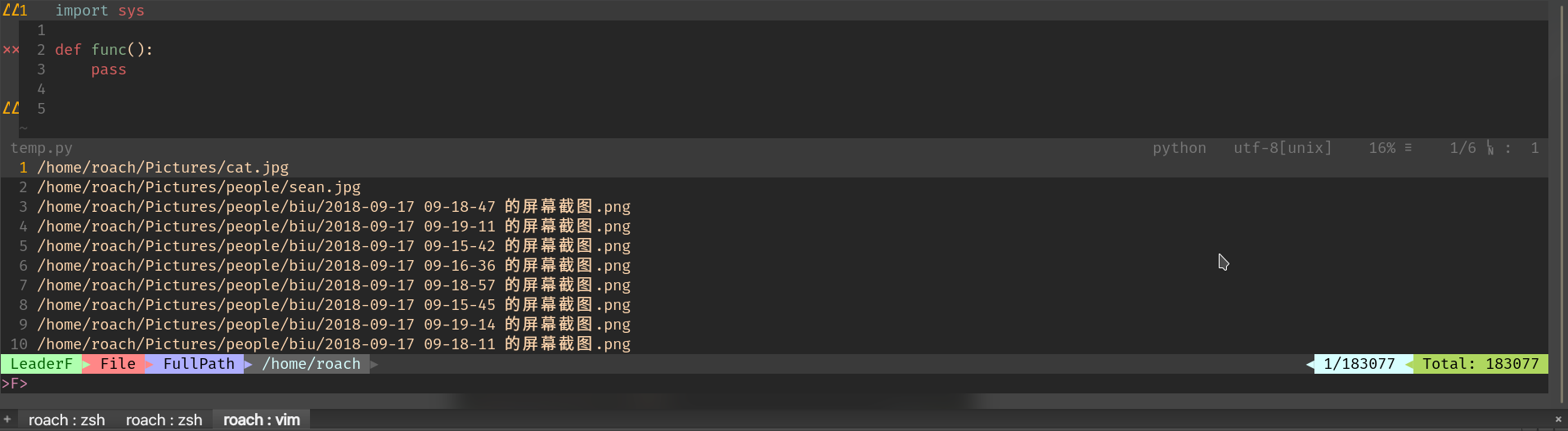 :LeaderfFile无法找到目标文件 · Issue #288 · Yggdroot/LeaderF · GitHub