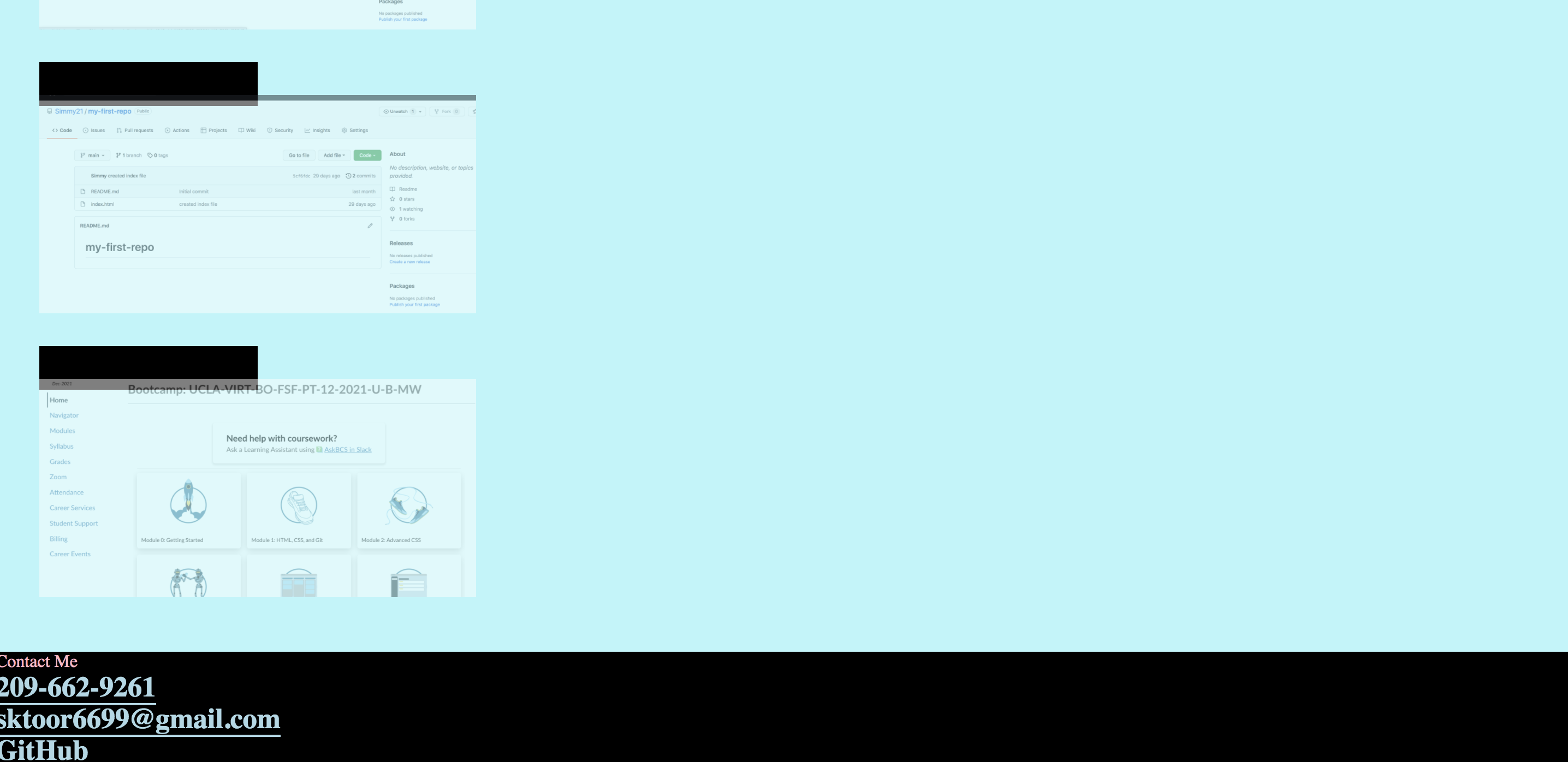 GitHub - Simmy21/professional-portfolio-challenge