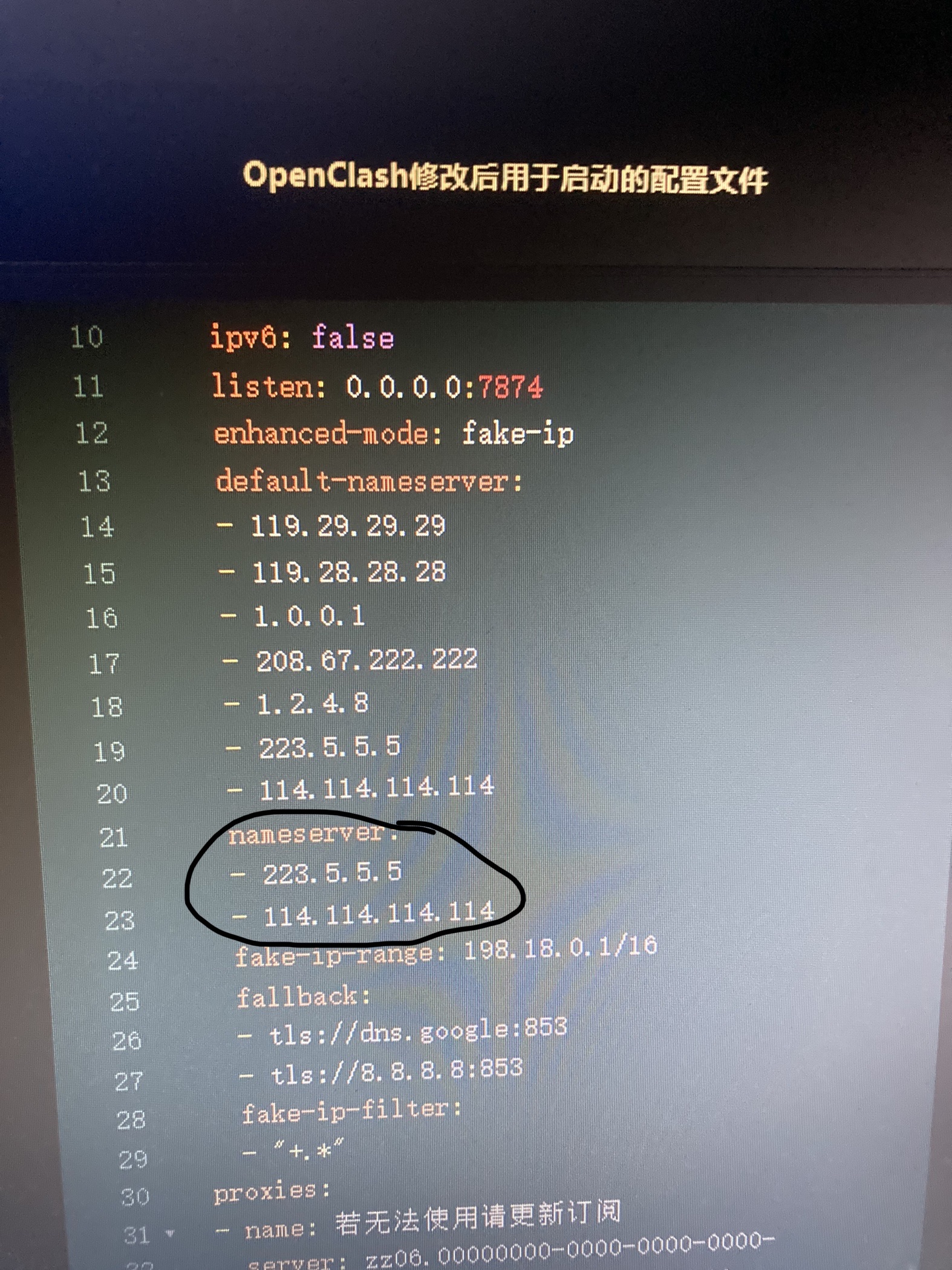 不能替换配置文件里的dns · Issue #2407 · vernesong/OpenClash · GitHub