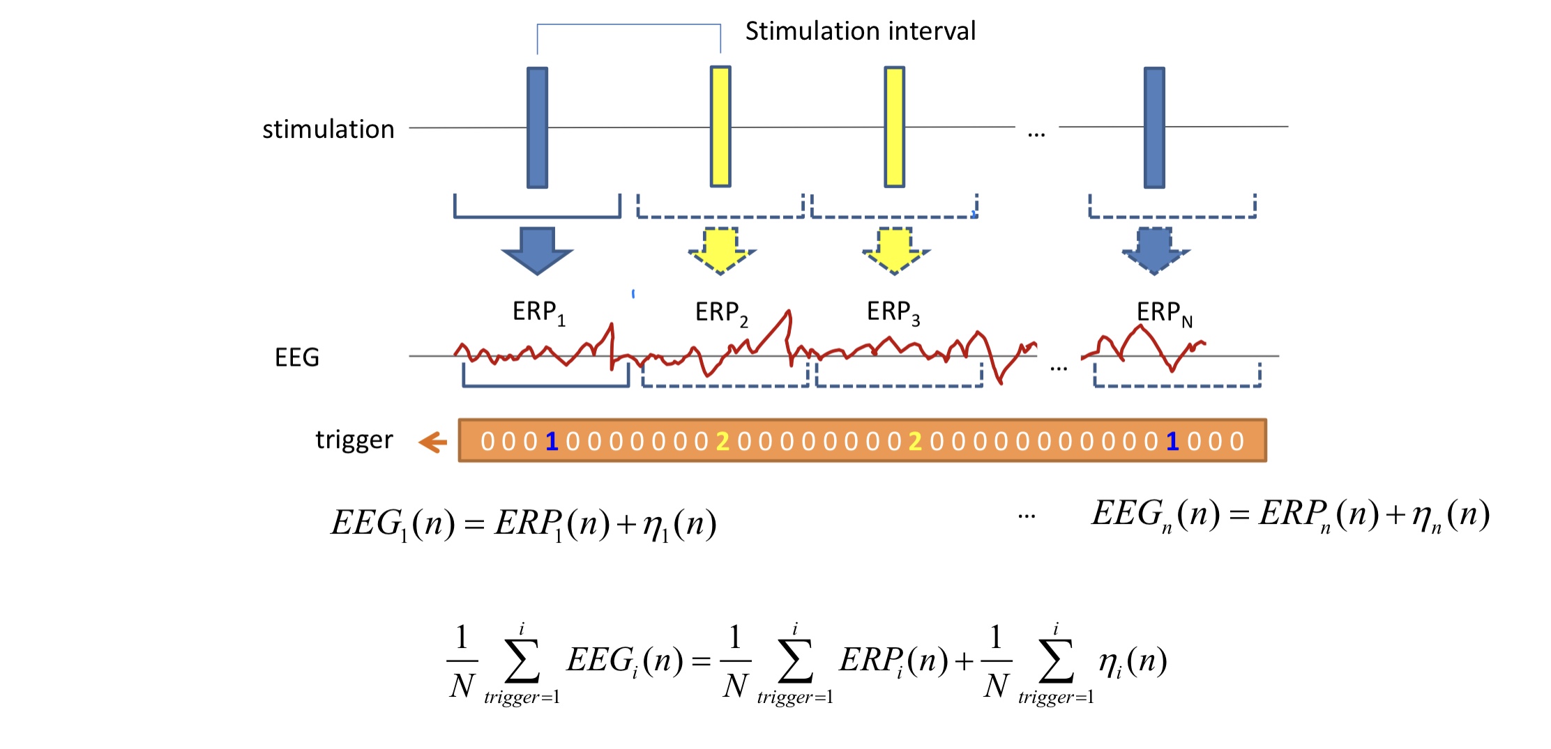 GitHub - hbumjj/ECoG-processing: ECoG: Stimulation trigger processing using Synchronizing averaging