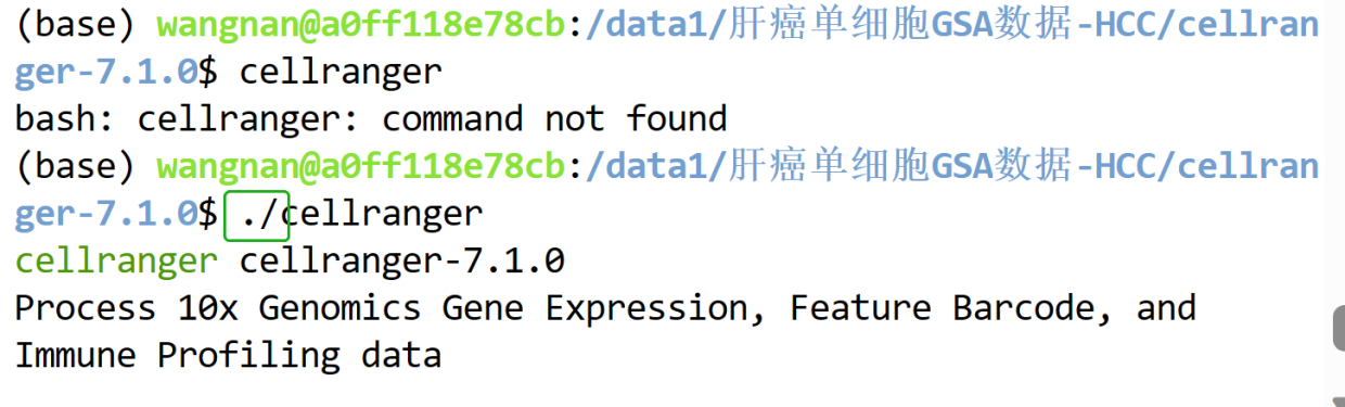 error: The subcommand 'mkref --genome=GRCh38' wasn't recognized Did you mean 'mkref'? If you ...