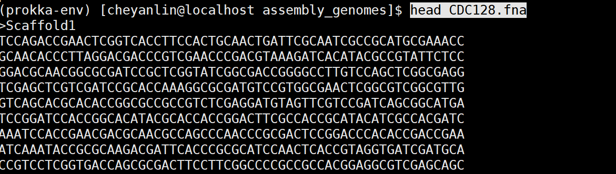 not a readable FASTA file error · Issue #86 · tseemann/prokka · GitHub