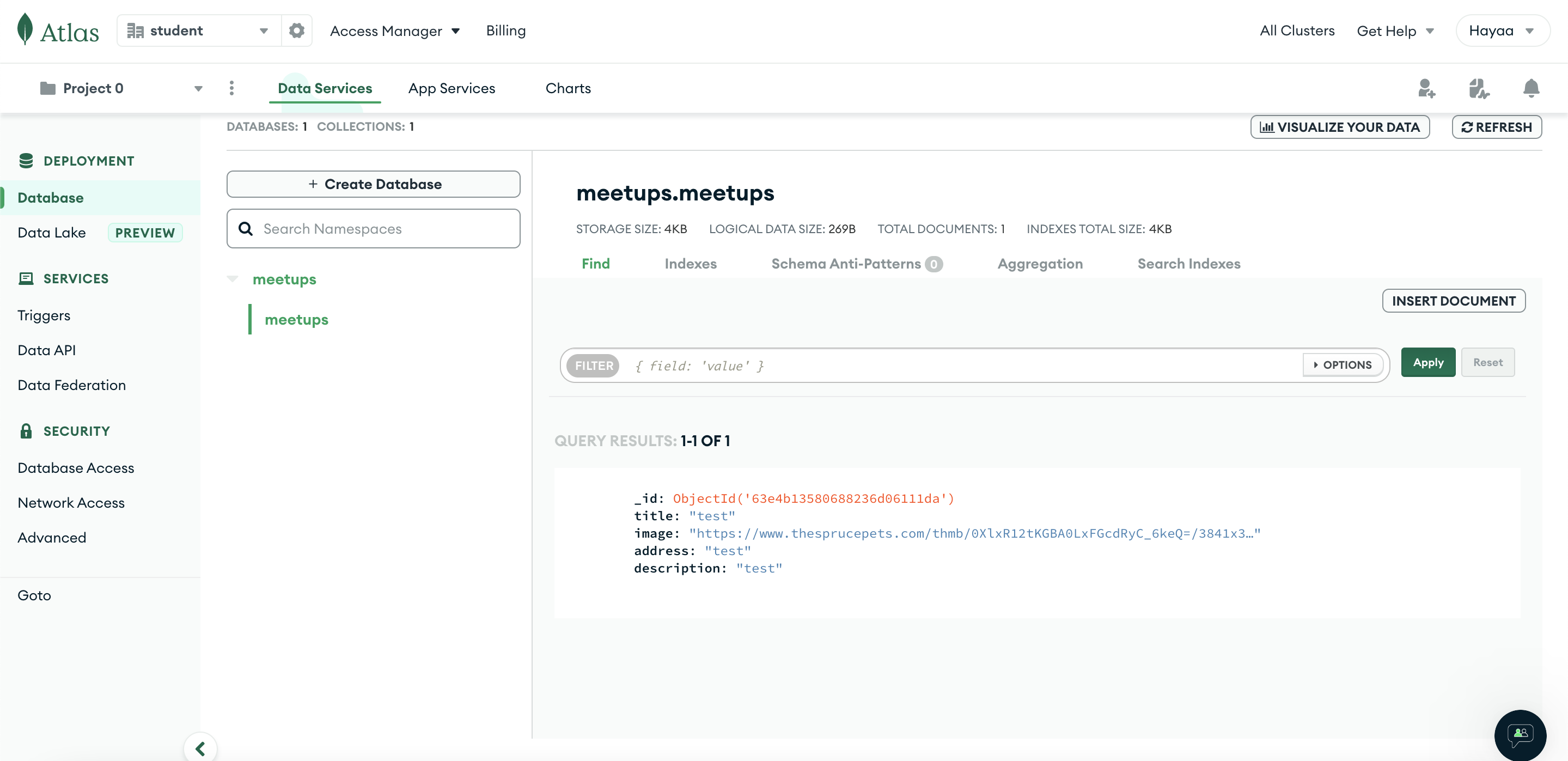 GitHub - HayaaQutaishat/Meetups-NextJS-App