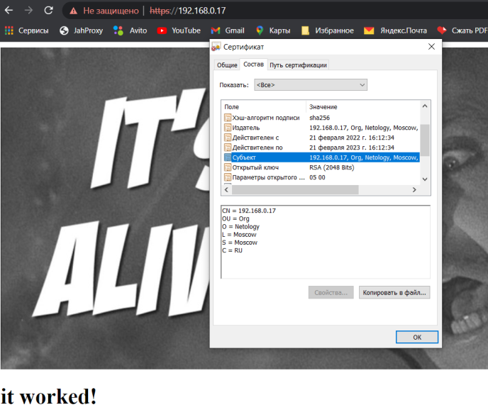GitHub - ChevTomato/devops-netology