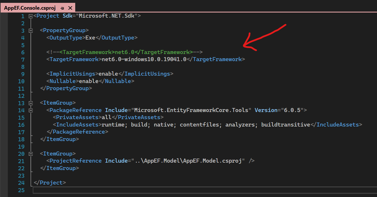 error APPX1101: Payload contains two or more files with the same destination path 'AppEF.deps ...