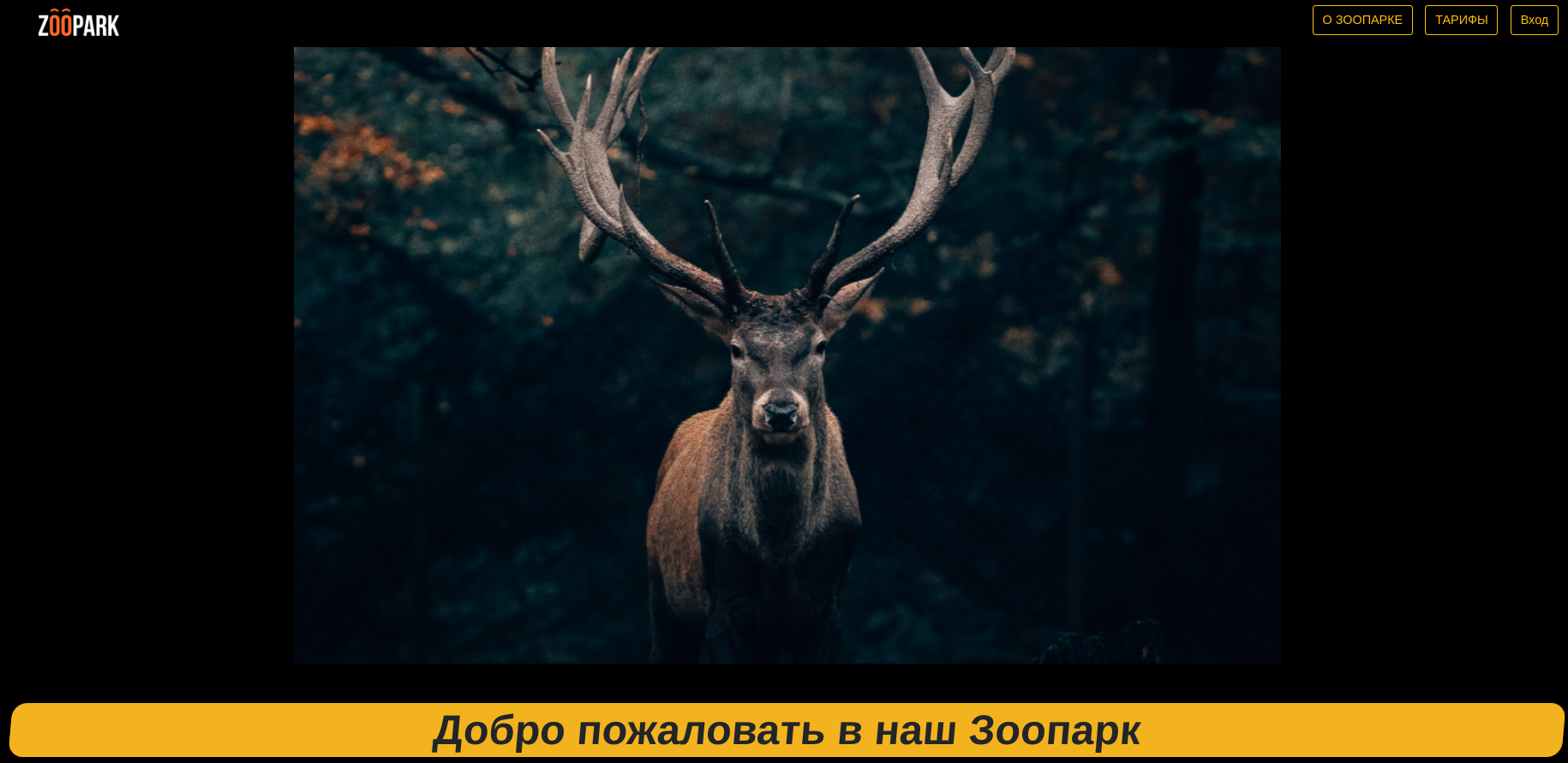 GitHub - Alex-Kiselev/zoopark