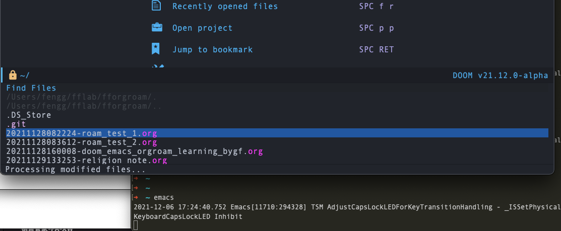 Emacs Hangs With Opening Org Roam V2 File After A Few Happy Weeks · Issue 2000 · Org Roam Org