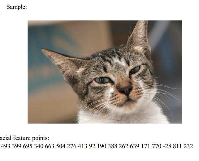 GitHub - GeekEagle/Cat-Face-Recognition: Machine Learning Project ...