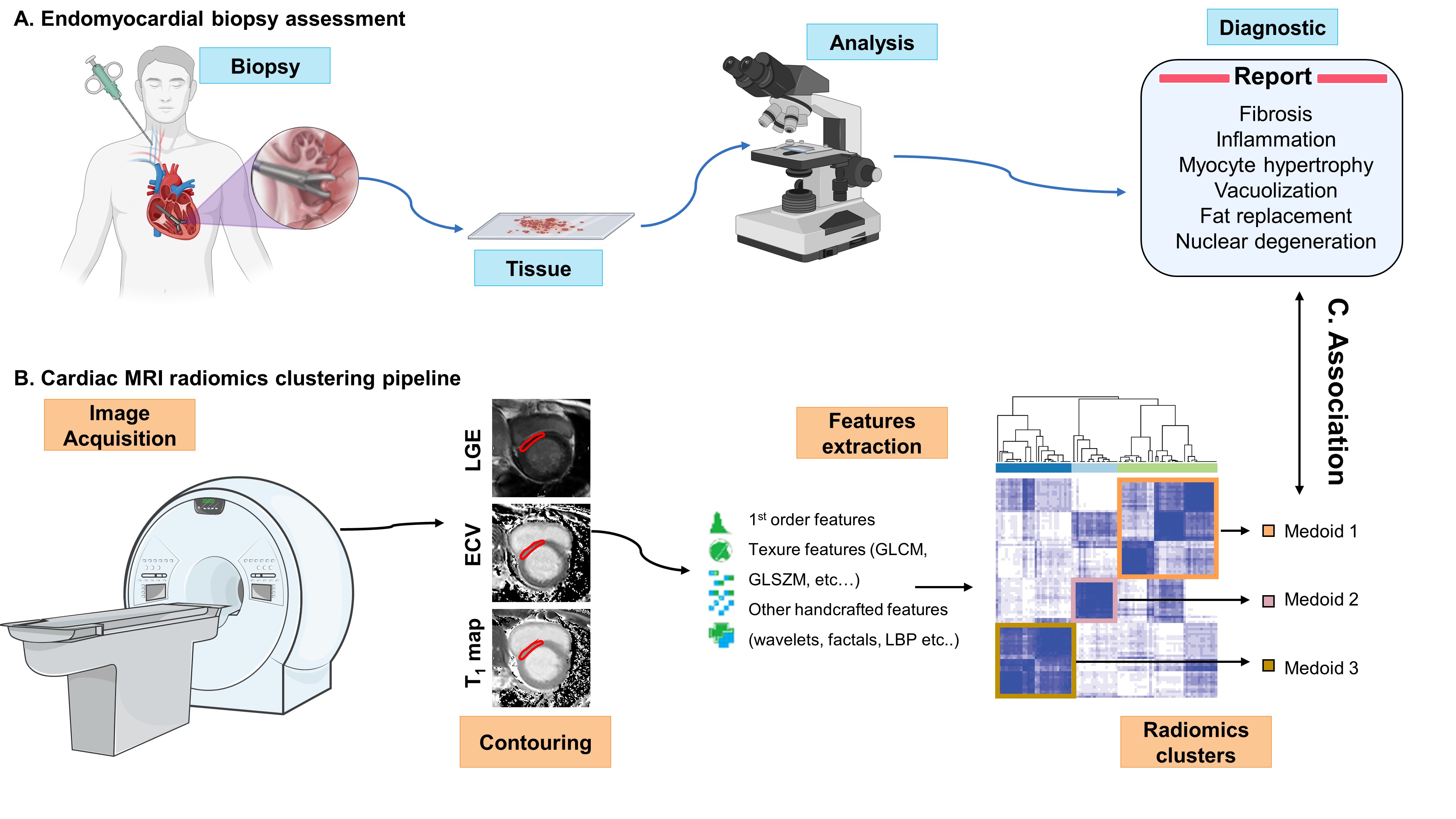 GitHub - HMS-CardiacMR/Radiomics_Histology_NIDCM