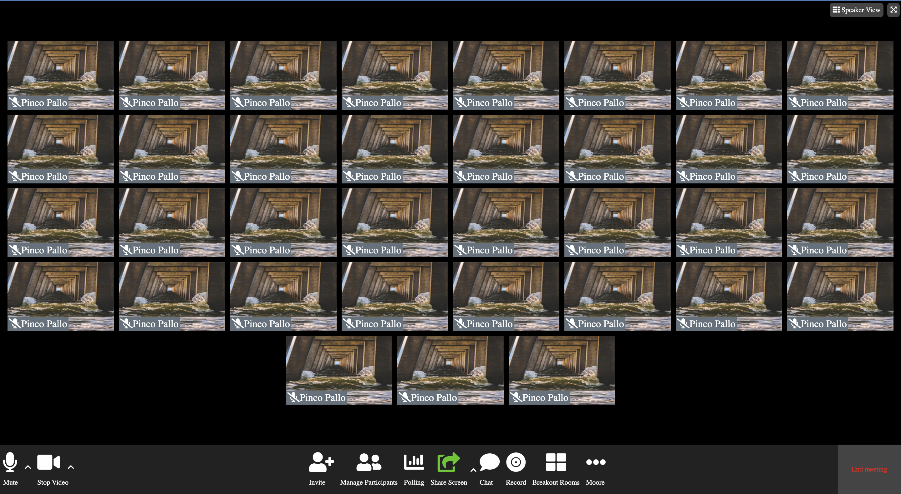 GitHub - Alessio1921/html-css-zoom