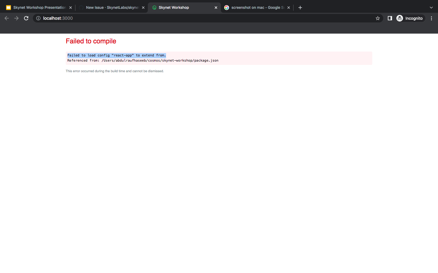 Error: Failed to compile · Issue #17 · SkynetLabs/skynet-workshop · GitHub