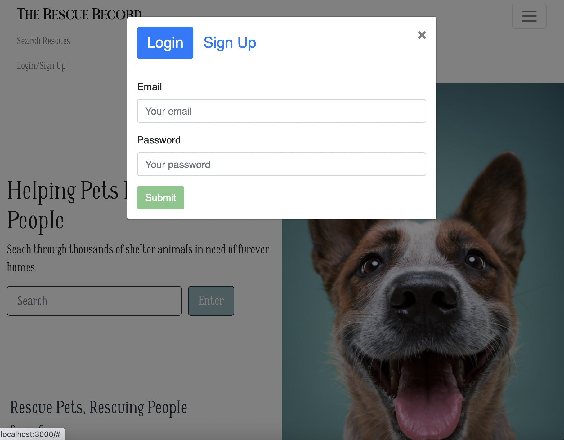GitHub - janellephalon/rescue-record