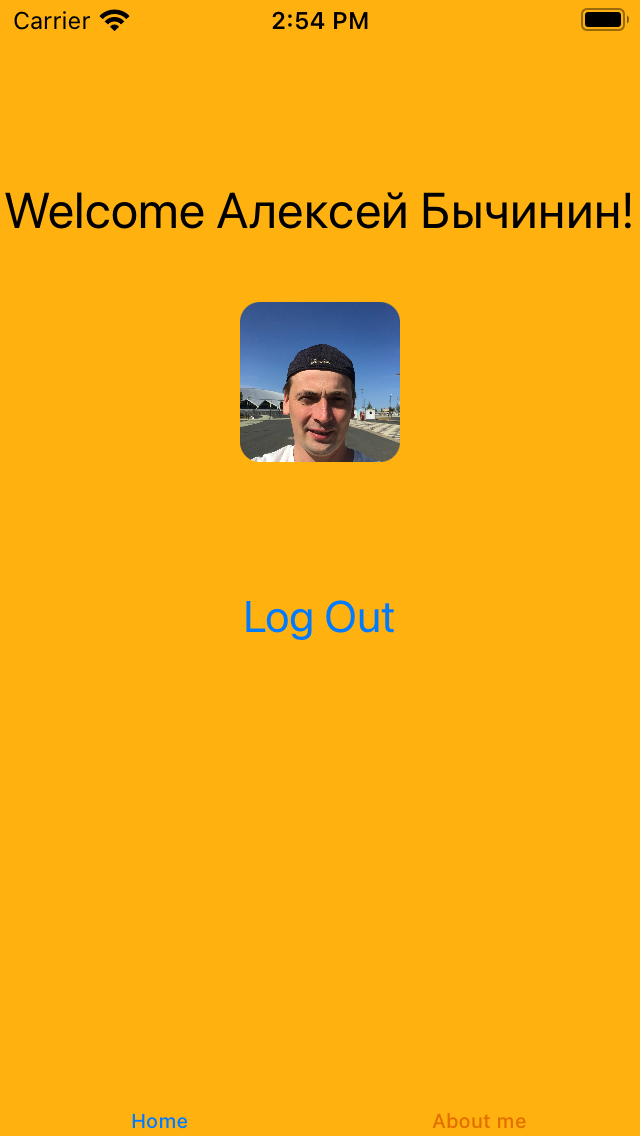 Github Alexeyb163 Loginscreen
