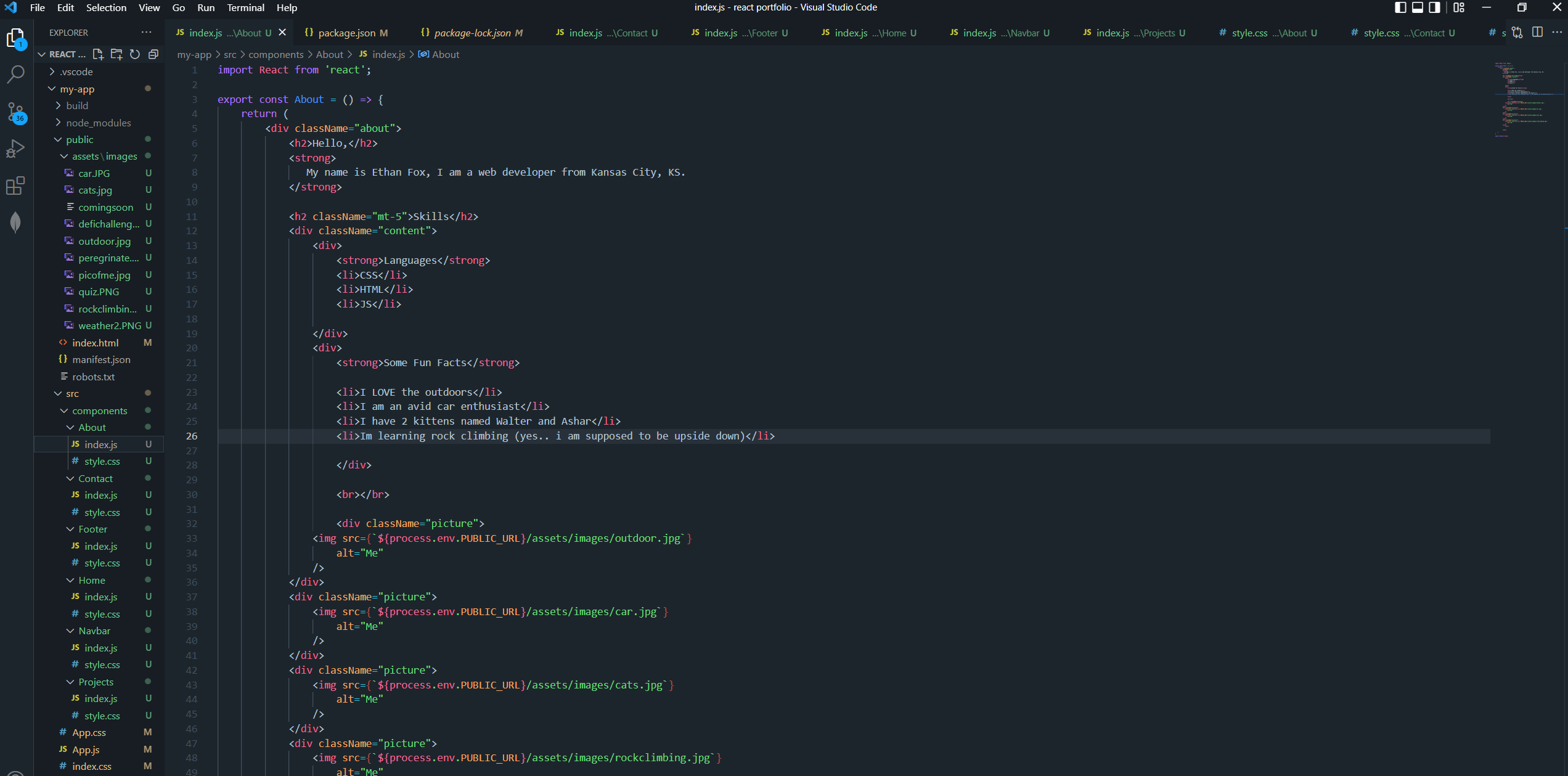 GitHub - Efox6179/React-Portfolio-2022