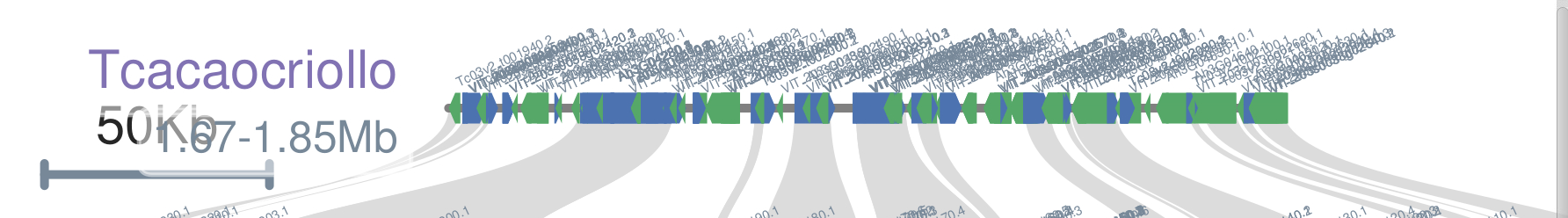 Overlapping genes in block output · Issue #582 · tanghaibao/jcvi · GitHub