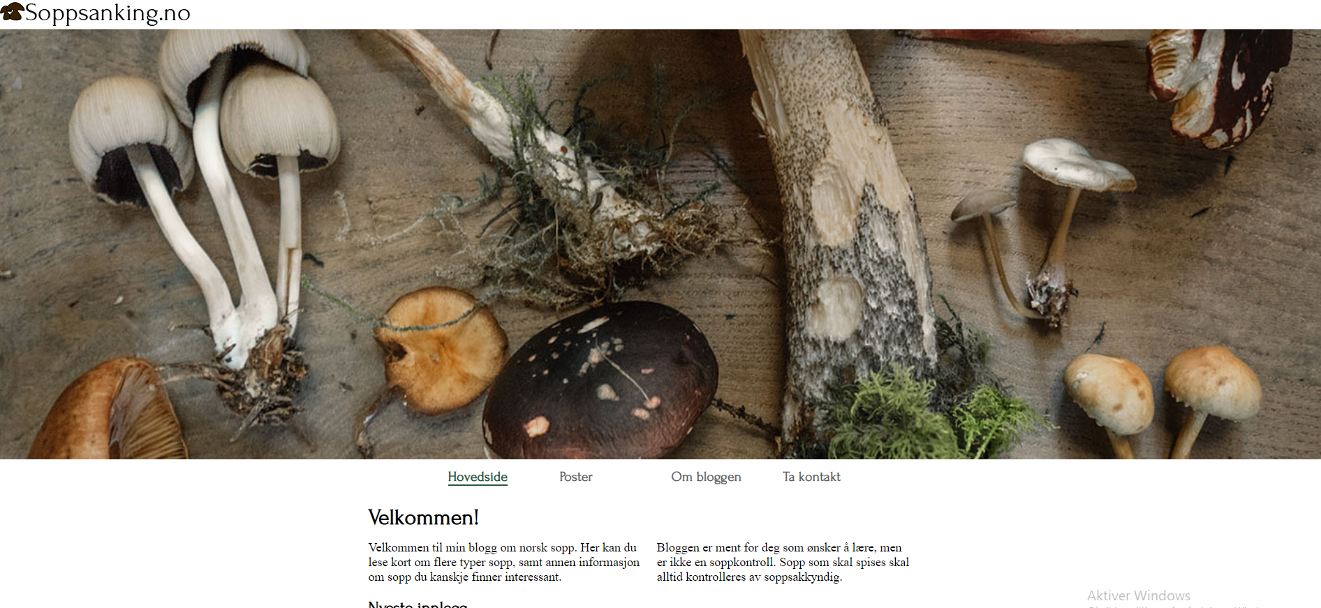 GitHub - Noroff-FEU-Assignments/project-exam-1-Eplepai96: project-exam-1-Eplepai96 created by ...